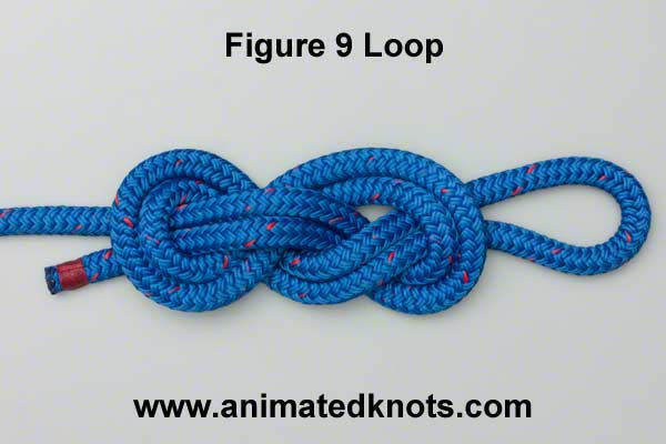 Figure 9 Loop Knot in Knot List Life.
