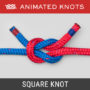 Crown Knot | How to tie a Crown Knot using Step-by-Step Animations ...